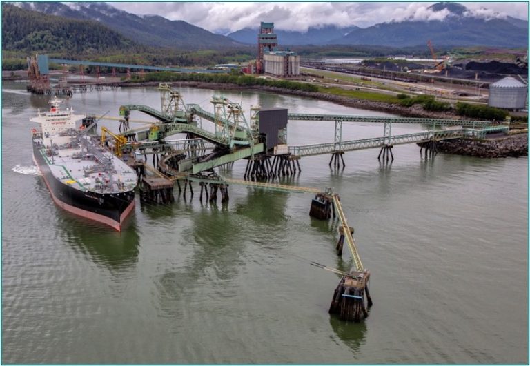 Trigon Pacific Terminals - International Dry Bulk Terminals Group